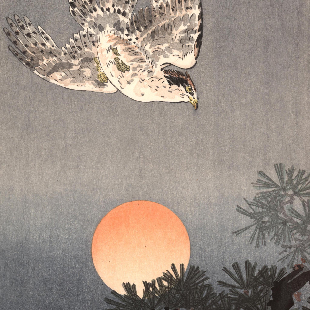 Tsuchiya Koitsu, "Goshawk" – Tokaido Arts